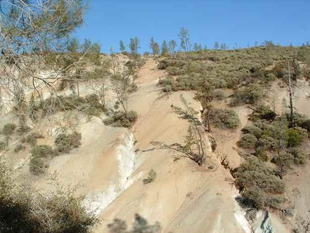 Native plants, mulch and amendments in garden soils.