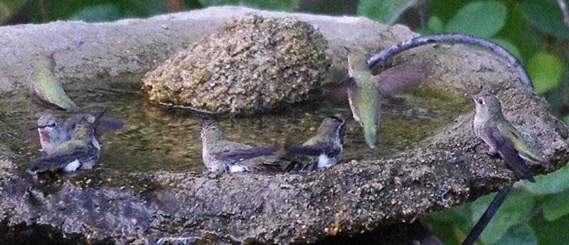 Easy Drip Irrigation