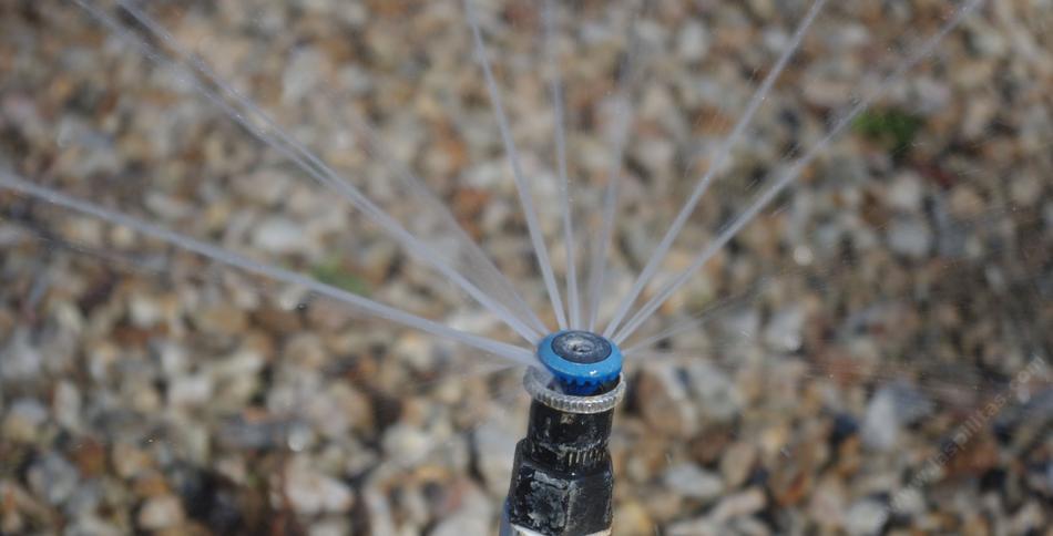 Sprinklers and California native plants